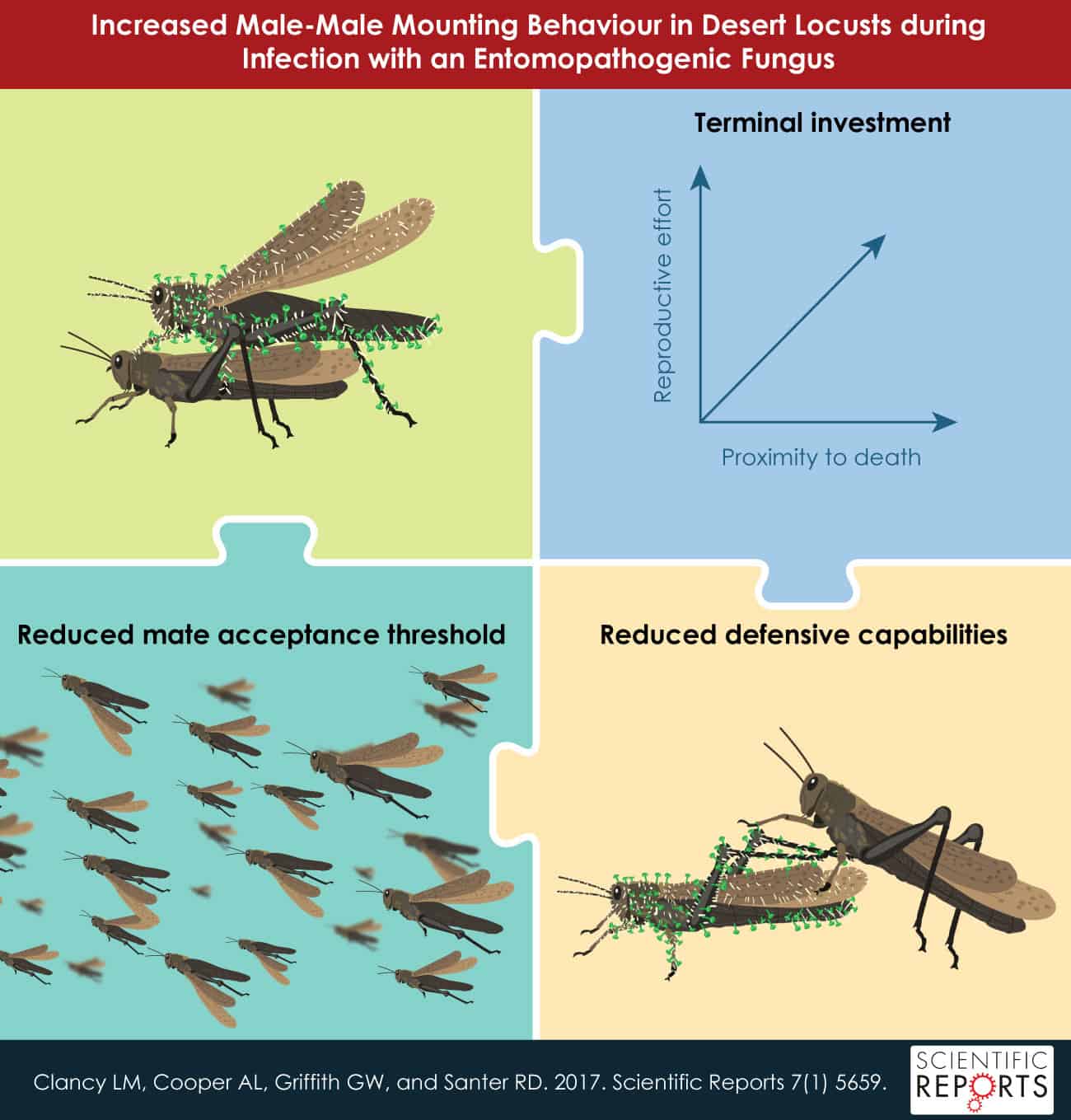 Graphical Abstracts International Science Editing