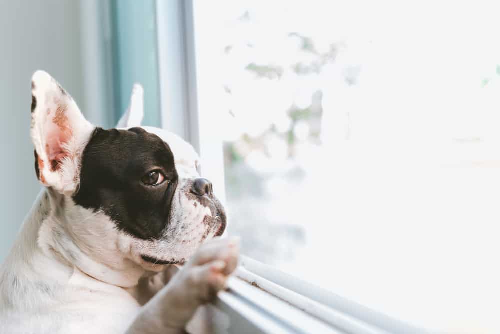 How Long Should You Wait Before Sending An Enquiry To The Editor